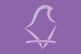 IECM | Page 4 of 349 | Instituto Electoral de la Ciudad de México